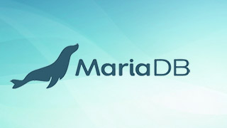 MariaDBとMySQLでWordPressのパフォーマンスを比較 ｜ WEB上手